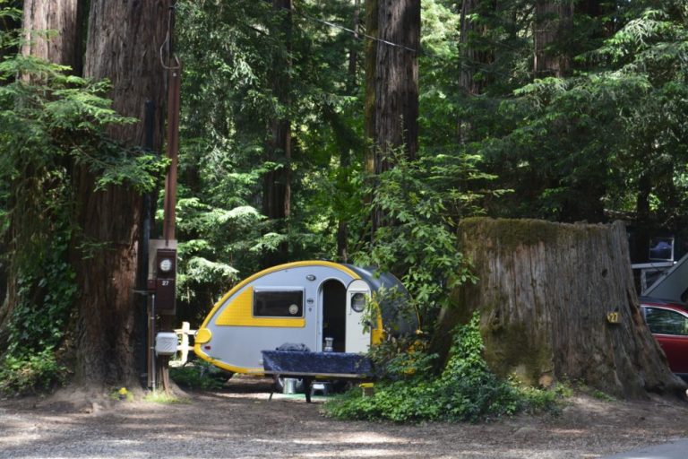 Santa Cruz Redwoods RV Resort Photo Gallery | Felton, CA